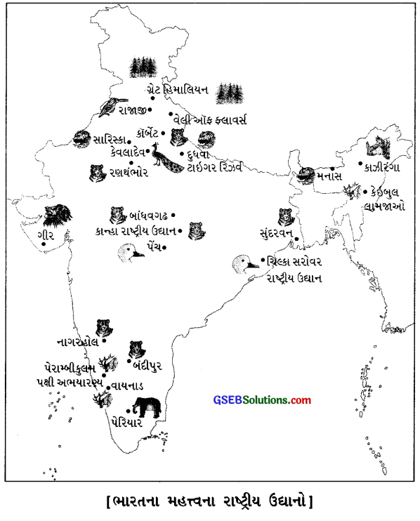 GSEB Solutions Class 8 Science Chapter 7 વનસ્પતિઓ અને પ્રાણીઓનું ...