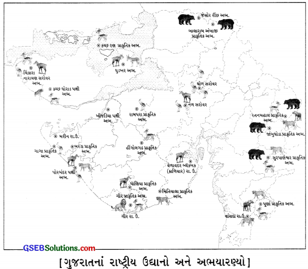 GSEB Solutions Class 8 Science Chapter 7 વનસ્પતિઓ અને પ્રાણીઓનું ...