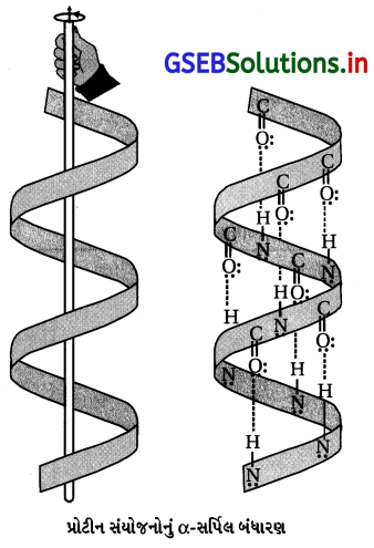 GSEB Solutions Class 12 Chemistry Chapter 14 જૈવિક અણુઓ – GSEB Solutions